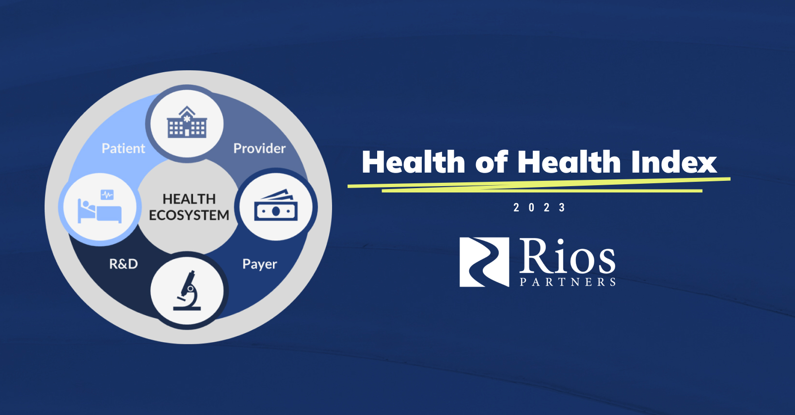 2024 - Health of Health Index